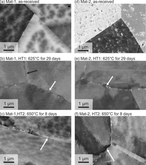 Detailed Sem Micrographs Bse Orientation And Composition Contrast Of
