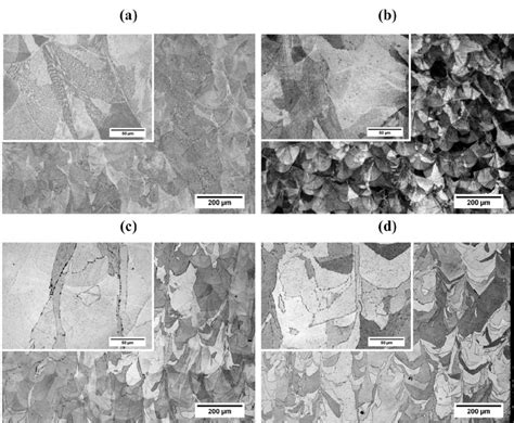 Observations Au Microscope Optique De La Microstructure Selon Xz A Download Scientific