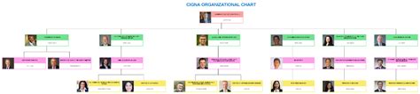 Free Cigna Organizational Chart Template To Edit Online