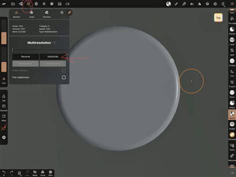 Tutorial Pirates Medallion In Nomad Sculpt Procreate Ioanna Ladopoulou Art Design