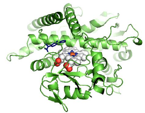Initial Binding Orientation Of Flurbiprofen Download Scientific Diagram
