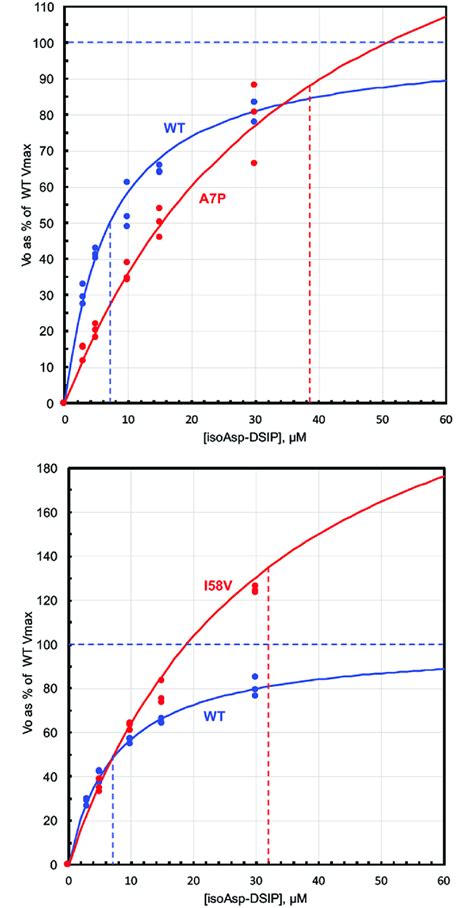 Determination Of Kinetic Constants For Variants A7p And I58v Using Download Scientific Diagram