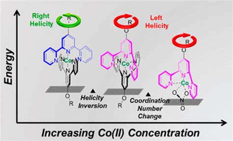 Different Origins Of Strain Induced Chirality Inversion Of Co2 Triggered Supramolecular Peptide