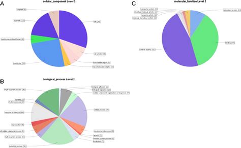 Functional Classification Of Drought Induced Clones In Peanut Roots Download Scientific Diagram