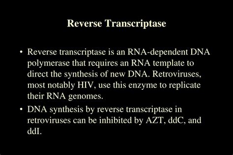 Ppt Organization Of Dna Powerpoint Presentation Free Download Id