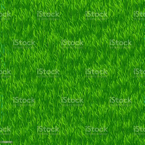녹색 잔디 필드입니다 잔디 테두리입니다 봄 잔디입니다 벡터 Eps 10 0명에 대한 스톡 벡터 아트 및 기타 이미지 0명 계절 길이 Istock