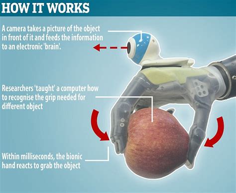 Bionic Hand That Sees Objects And Grips Is Revealed Daily Mail Online