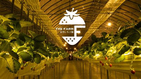 The Farmへ行ってきました 株主優待サラリーマンがfireを達成するまでの軌跡