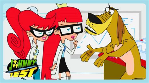 Johnny Test Johnnys Big Dumb Sisters 🧪 Season 4 Cartoons For