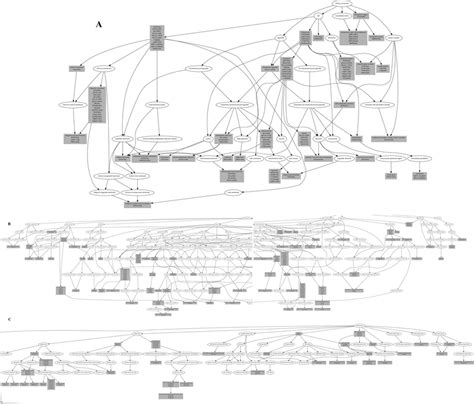 Go Term Enrichment Graph Construction And Dynamic Visualization Of The
