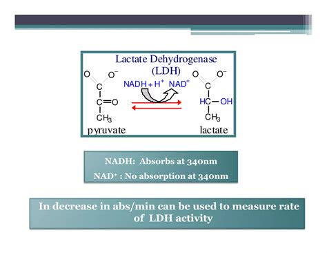 Enzyme Assay Methods Pdf Chemistry Science