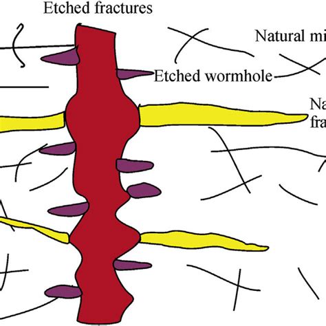 The Reaction Model Of Acid Flow In Fractures Fig 2 The Physical Download Scientific Diagram