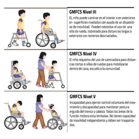 Escala De Gross Motor Function Classification System Gmfcs Una