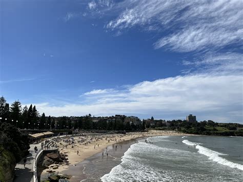 Xiaoyang Wang Xiaoyangshawn Twitter