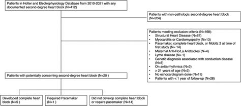 Algorithm Showing Subject Selection And Exclusion Criteria Download Scientific Diagram