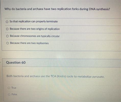 Solved Why Do Bacteria And Archaea Have Two Replication