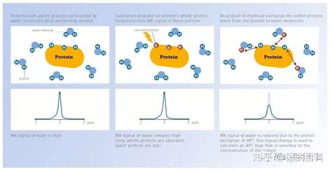 “穷人”的分子影像学——apt 知乎