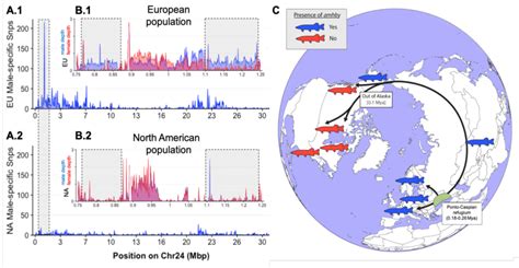 Complete Loss Of The Ancestral Sex Locus And Master Sex Determination Download Scientific