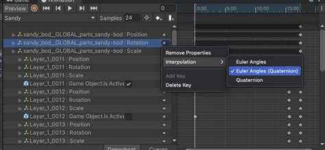 Access Animation Window Rotation Interpolation Setting Euler Angles