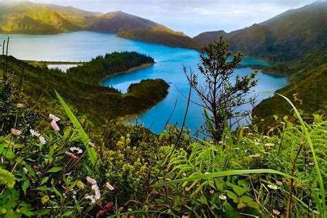 Tour To Sete Cidades Lagoa Do Fogo And Furnas