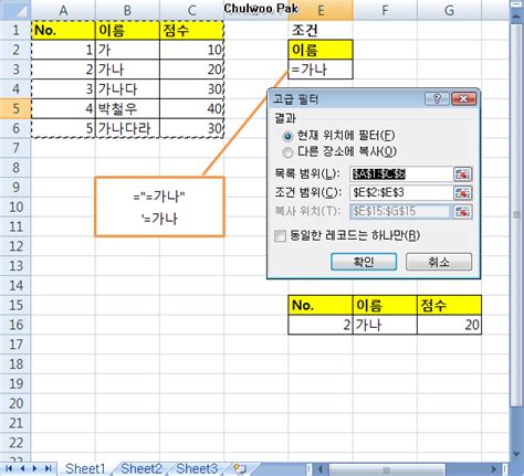 Can Computer And Network Tips Excel 고급 필터에서 텍스트 값과 관련된 조건 만드는 방법
