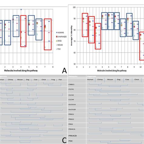PDF MPDB Molecular Pathways Brain Database