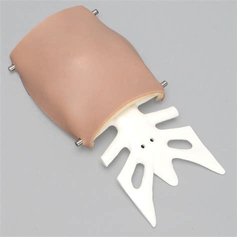 Sternum Io Training Kit Training Bones And Anatomical Models