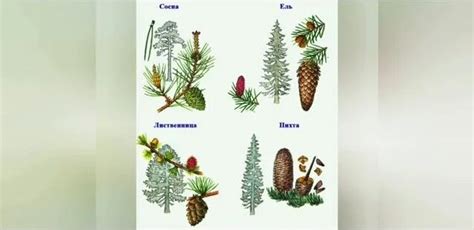 Занятие по развитию речи для детей 5 6 лет Смотреть онлайн в поиске Яндекса по Видео