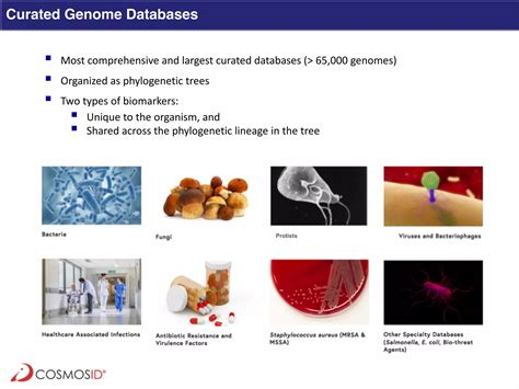 Clinical Metagenomics For Rapid Detection Of Enteric Pathogens And Characterization Of The