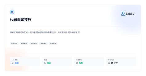 代码调试技巧 Labex