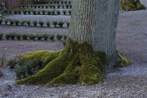 Deadxclown On Tumblr