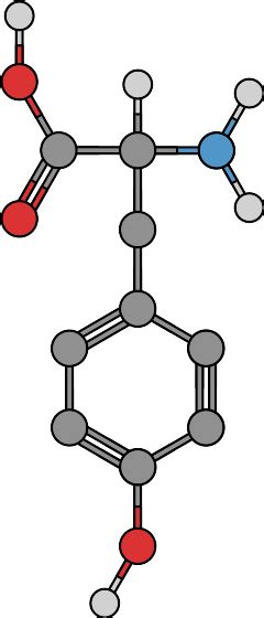 Tyrosine Molecule Figure Science Figures