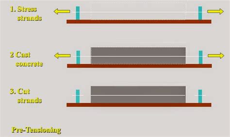 What Is A Plate Transfer At Douglas Hammond Blog