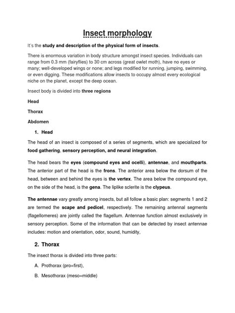 Lecture 2 Insect Morphology Pdf