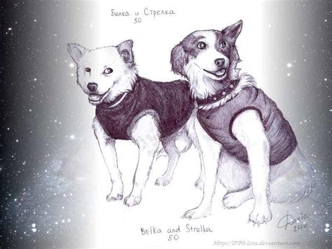 Belka And Strelka By Ippo Lita On Deviantart