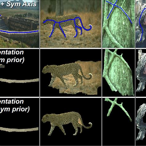 Example Symmetry Constrained Segmentations Notice That We Are Able Download Scientific Diagram