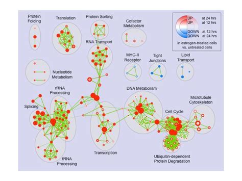 Canadian Bioinformatics Workshops Ppt Download