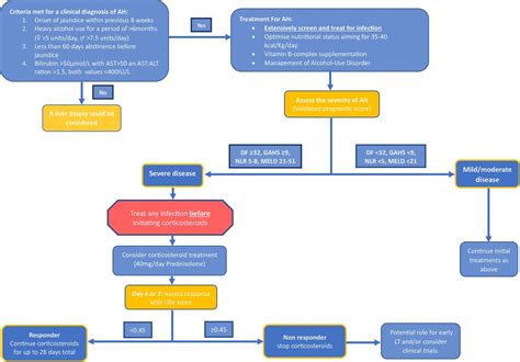 Improving Survival In Alcohol Related Hepatitis Whats New
