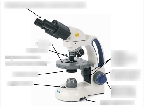 Microscope Operation And Component Identification Flashcards Quizlet