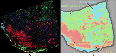 Heatmaps Aggregating Data On A Lower Spatial Resolution A Download Scientific Diagram