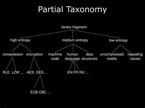 Ppt Automated Mapping Of Large Binary Objects Powerpoint Presentation