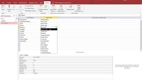 what is the purpose of the data type property for a field at james