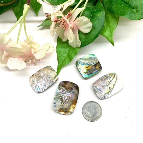 Abalone Shell Cabochon For Emotional Healing Online At Talk To Crystals