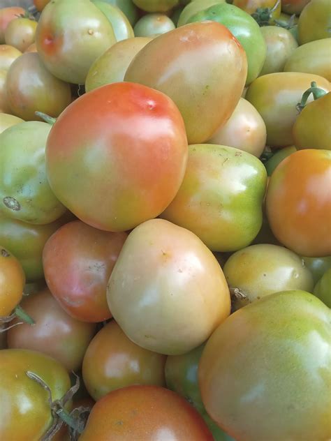 သန္းသန္းဆင့္ သန္းသန္းဆင့္ ကုန္စိမ္းမ်ဳိးစံုေရာင္းဝယ္ေရး