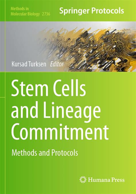 Buy Stem Cells And Lineage Commitment Methods And Protocols Book Online At Low Prices In India