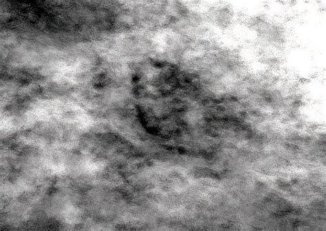 Transmission Electron Microscopy Visualization Of Vault Particles In Download Scientific