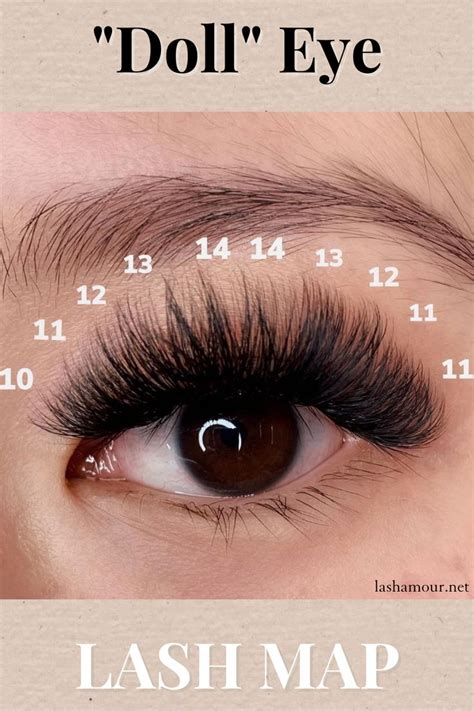 Doll Eye Lash Map Lash Extensions Lashes Lashes Fake Eyelashes Doll Eyes