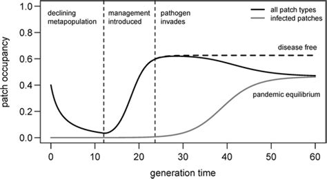 Example Dynamics Showing How Total Patch Occupancy Bold Line And The