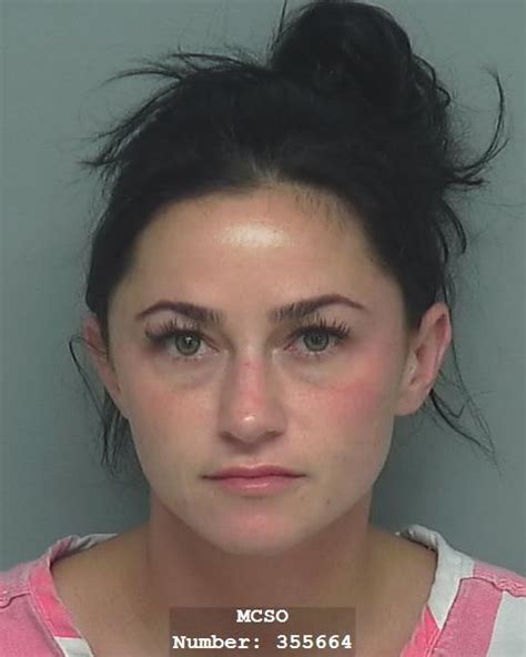 Wojcik Heather Michelle Montgomery County Police Reporter