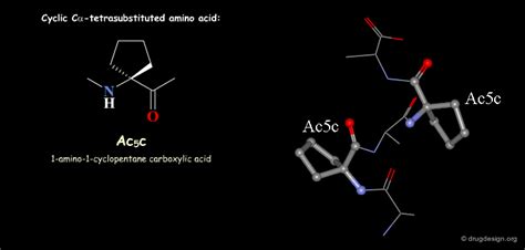 Peptidomimetics Drug Design Org